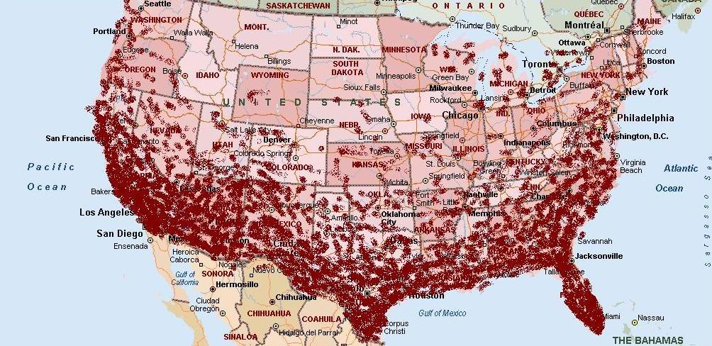 Why a Termite Inspection is Important | CFBI